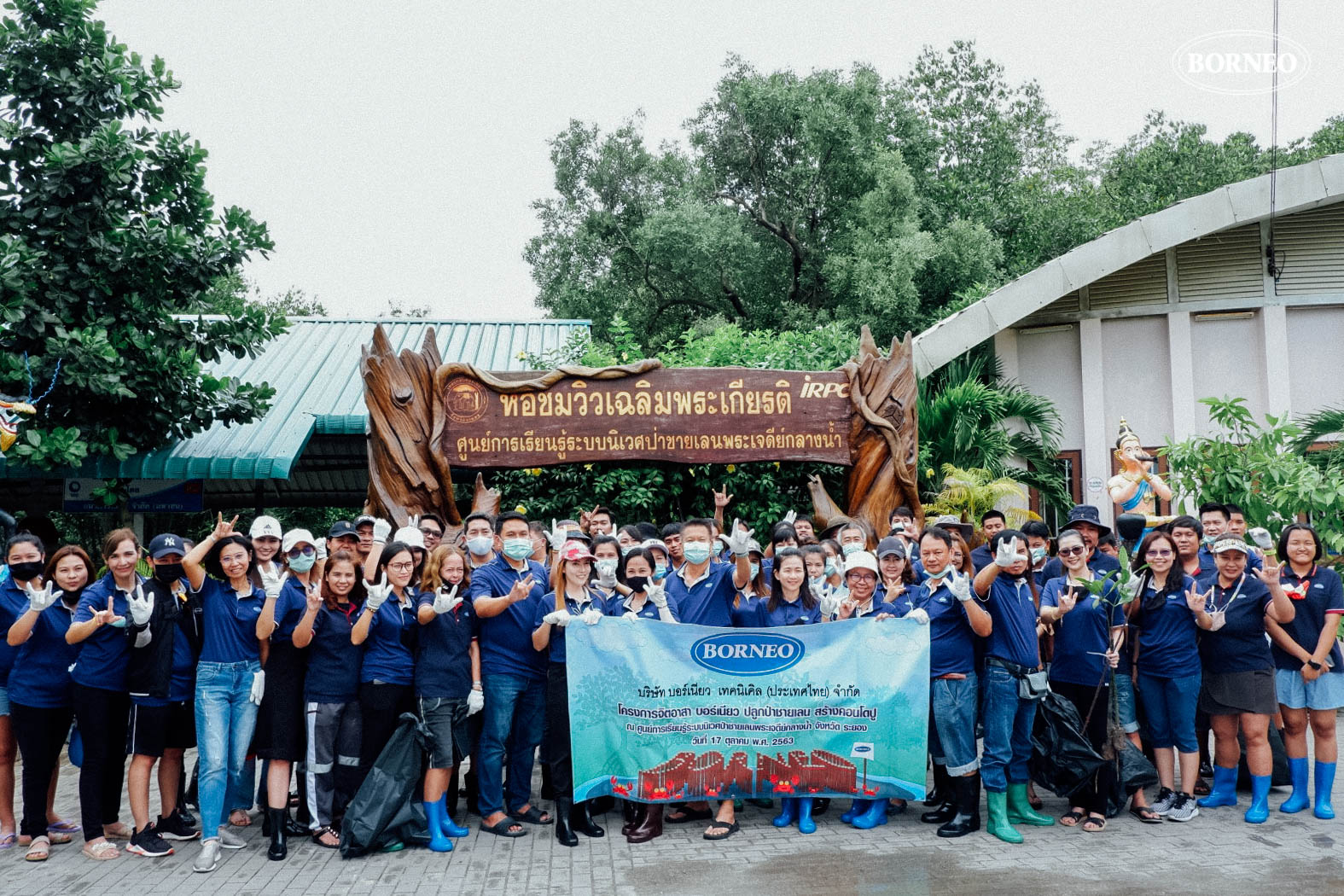 Borneo planting mangrove forests, building crab condos