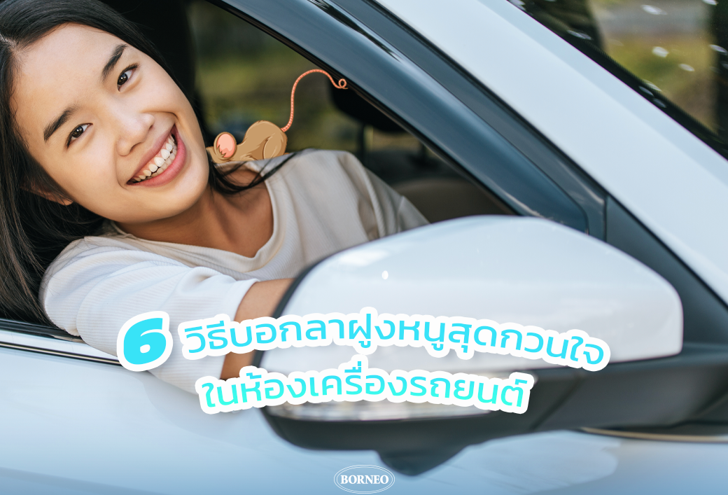 6 ways to say bye to the annoying rat in the engine room